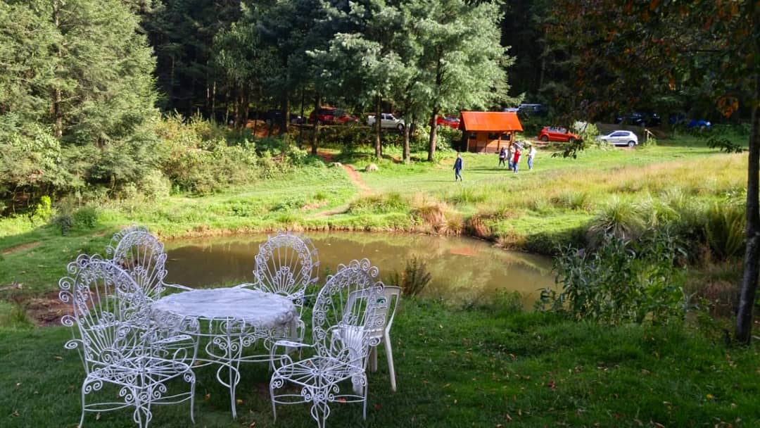 Peña de Lobos: un bosque místico cerca de la CDMX para hacer hiking