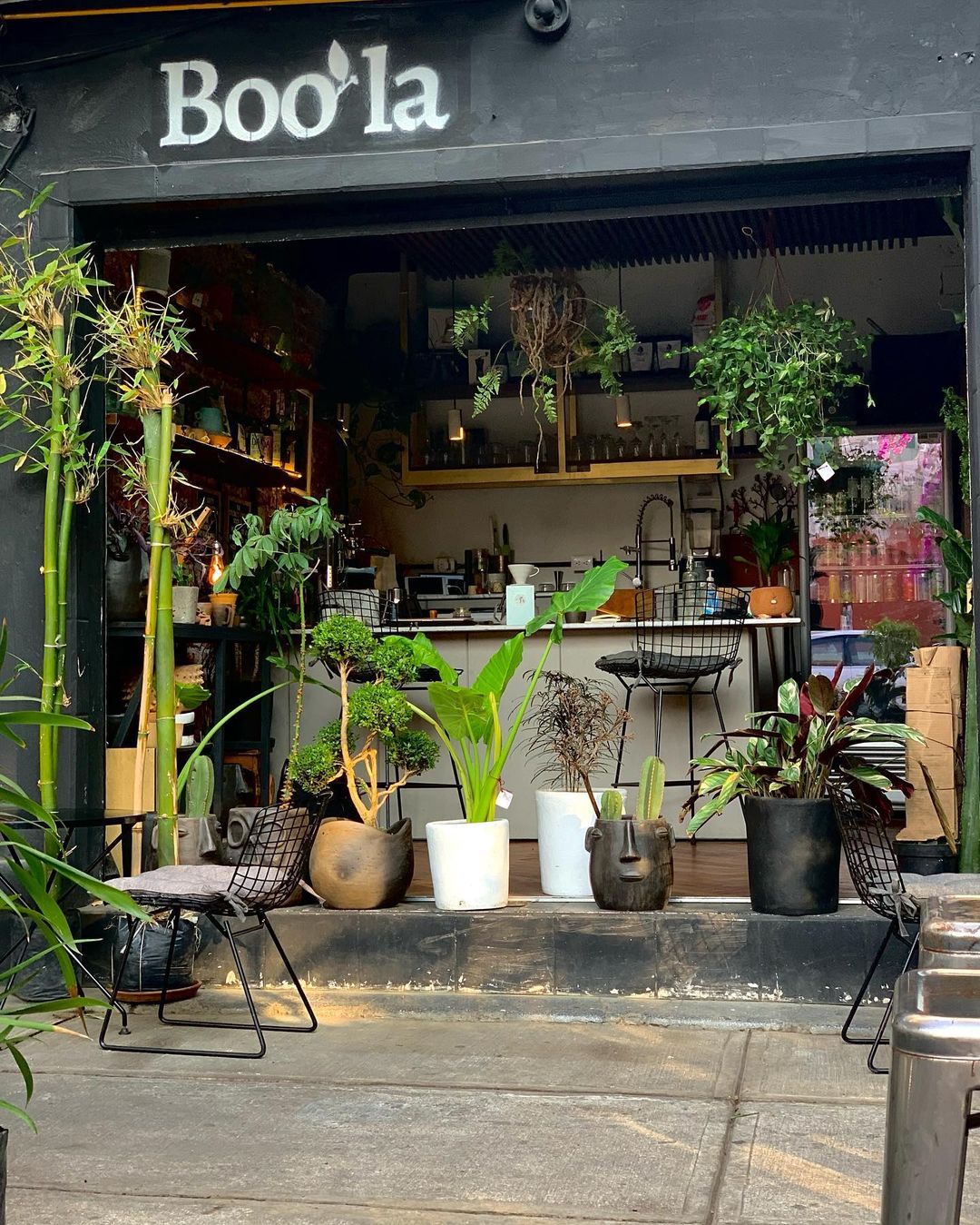 7 Cafeterías Rodeadas De Plantas Para Olvidar Que Estás En La Cdmx