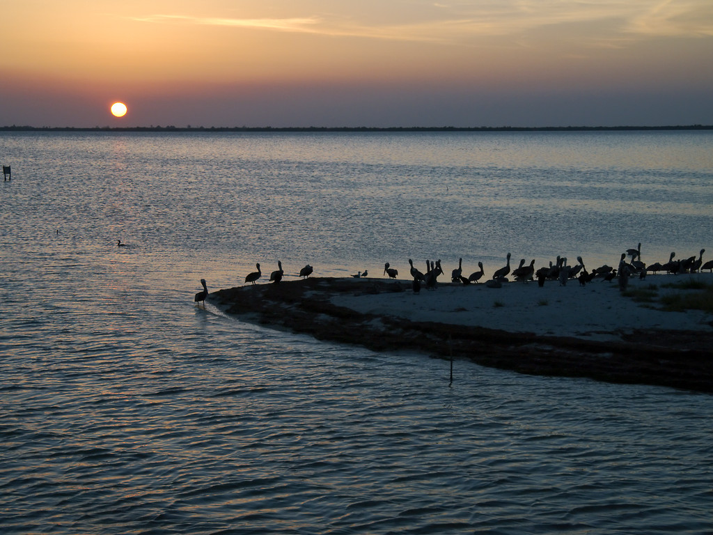 Hay una isla secreta en Holbox llena de aves coloridas y manglares