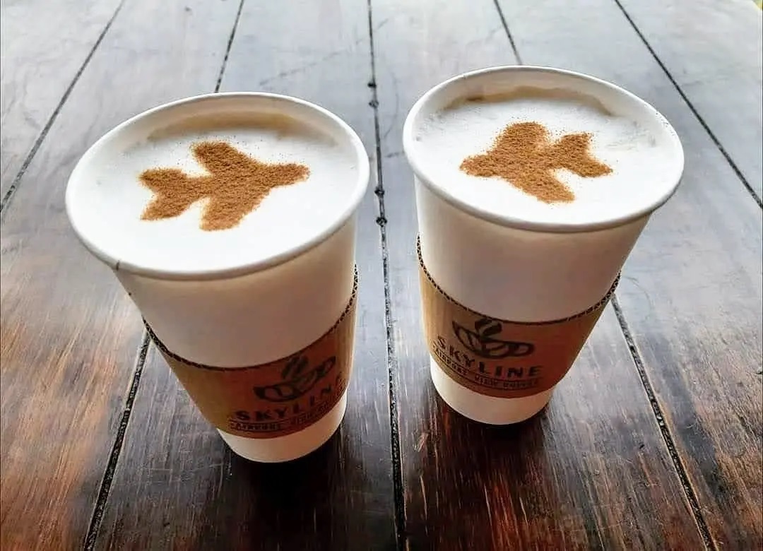 Skyline Coffee: la cafetería que tienes que visitar si eres fanático de ...