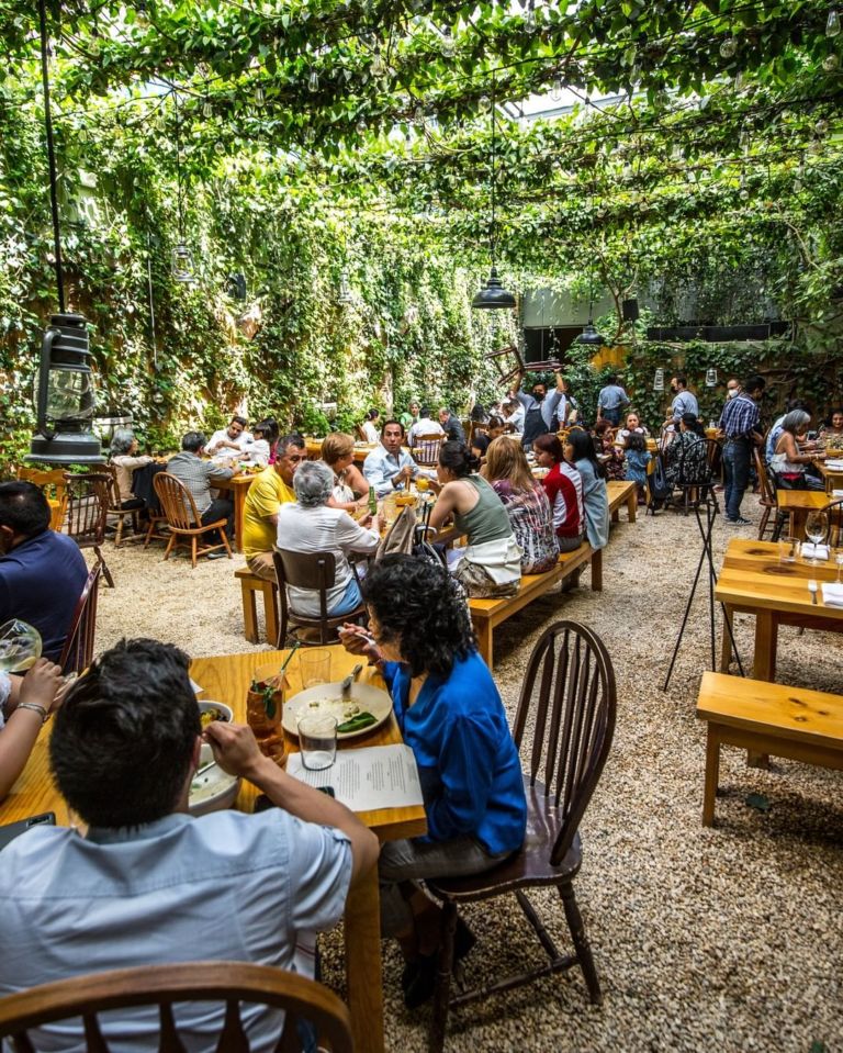 8 hermosos jardines en la CDMX para tomar un par de tragos entre amigos