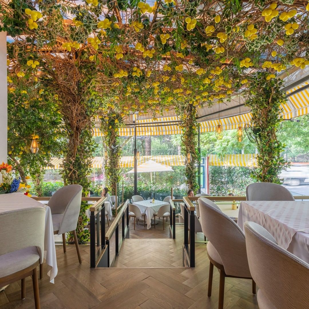 5 restaurantes en Polanco para invitar a desayunar a tus tías (bonitos ...