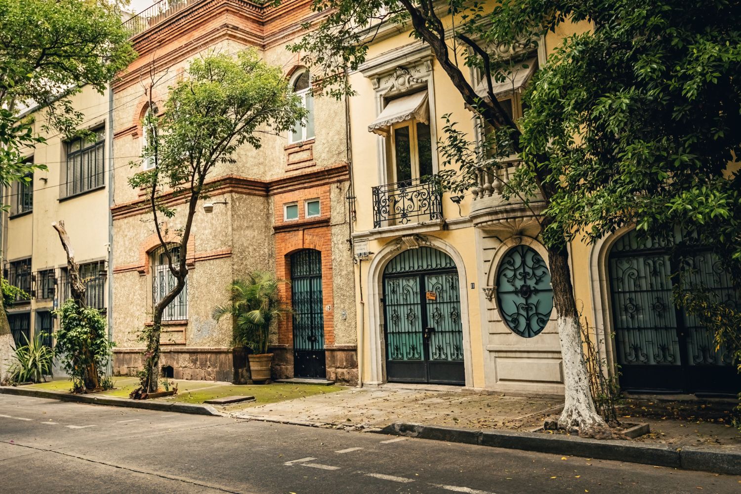 7 lugares preciosos para caminar en la CDMX mientras disfrutas del ...