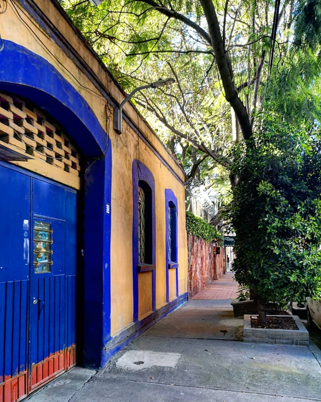 Recorrido por la colonia Popotla, una de las más icónicas de la CDMX