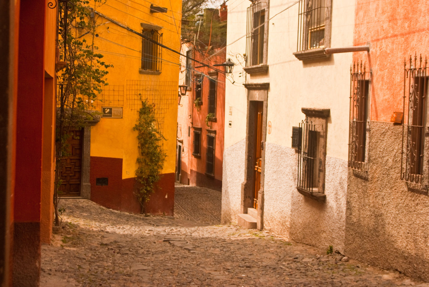 Recorrido por la colonia Popotla, una de las más icónicas de la CDMX