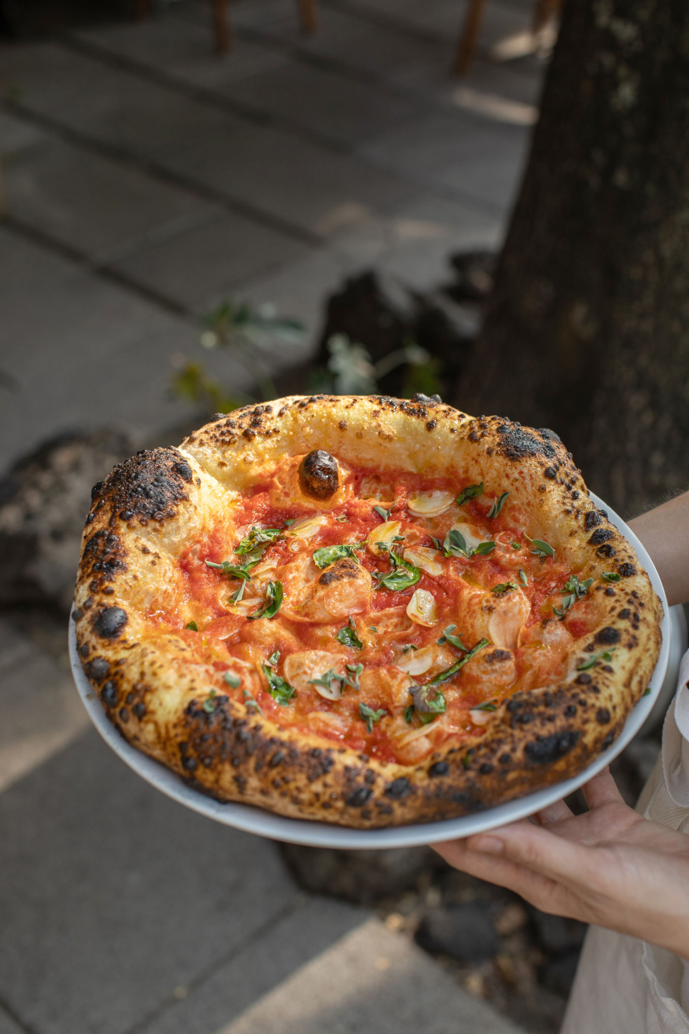 Las pizzas más ricas, quesosas y de masa delgada solo las encontrarás ...