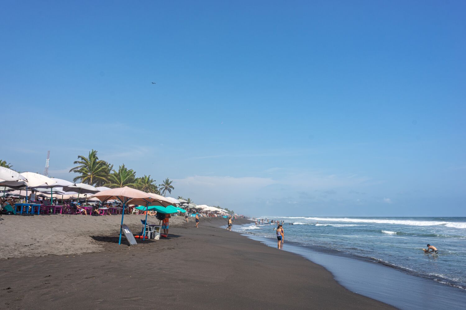 ¡No solo en Hawaii o Islandia! 3 playas con arena negra en México que ...